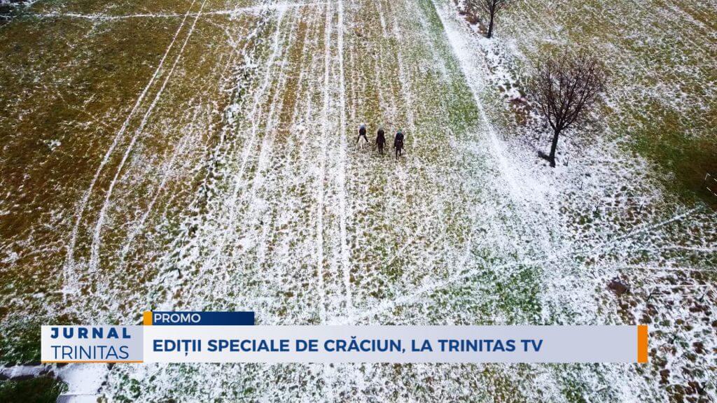 Programe speciale, la TRINITAS TV, de sărbători - TRINITAS TV
