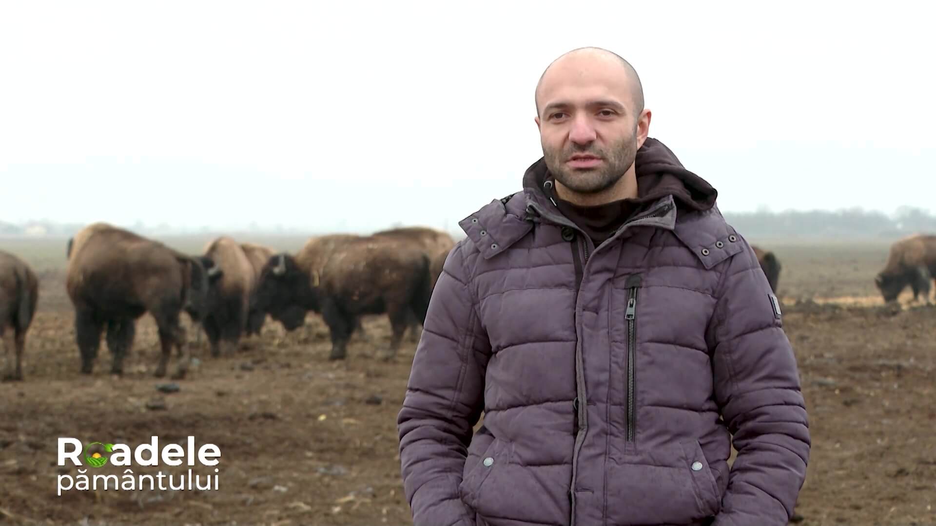 Roadele pământului Archives - TRINITAS TV