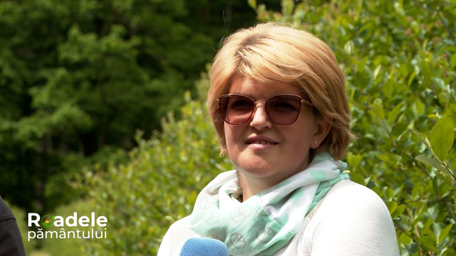 Roadele pământului Archives - TRINITAS TV