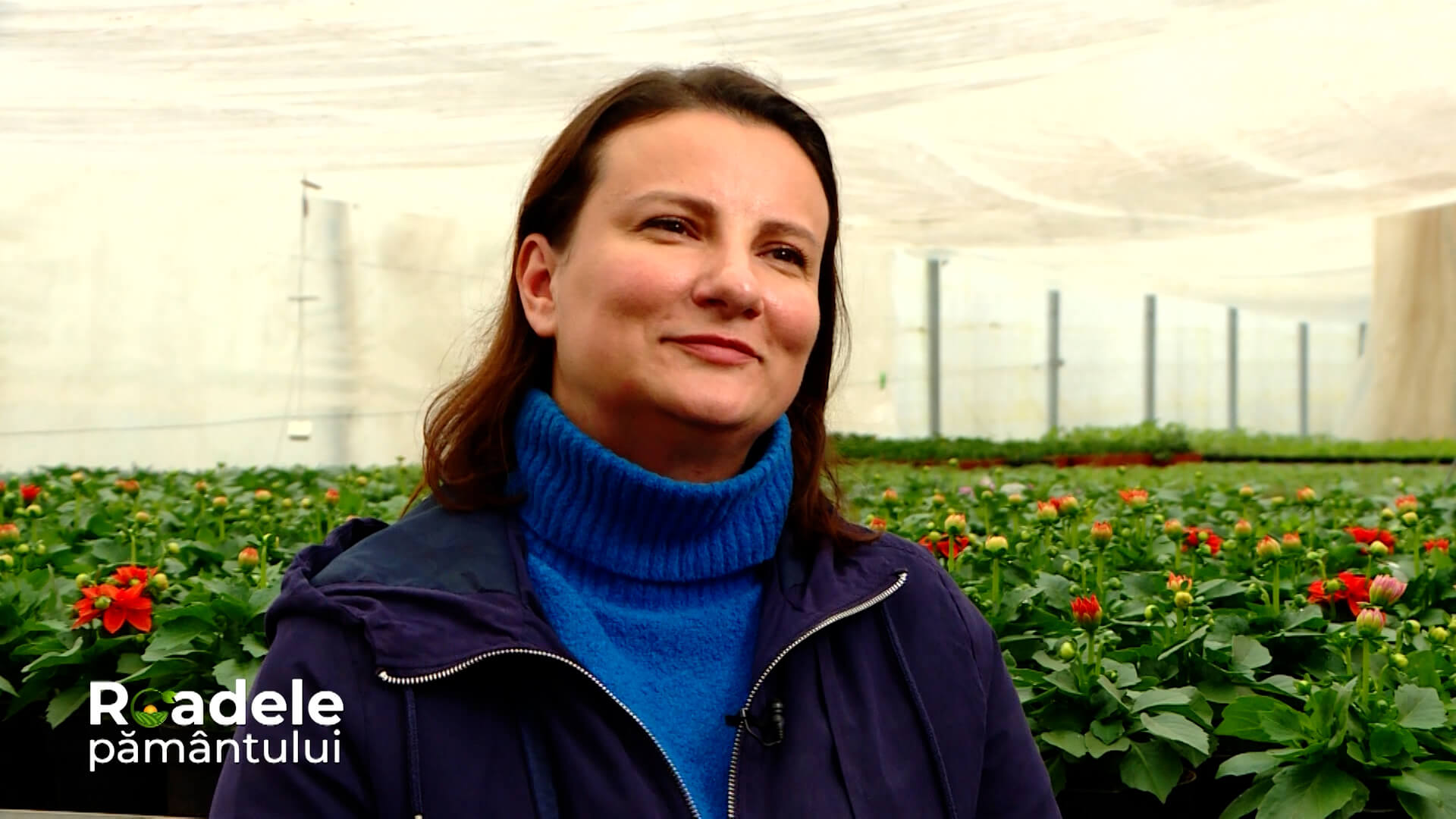 Roadele pământului Archives - TRINITAS TV