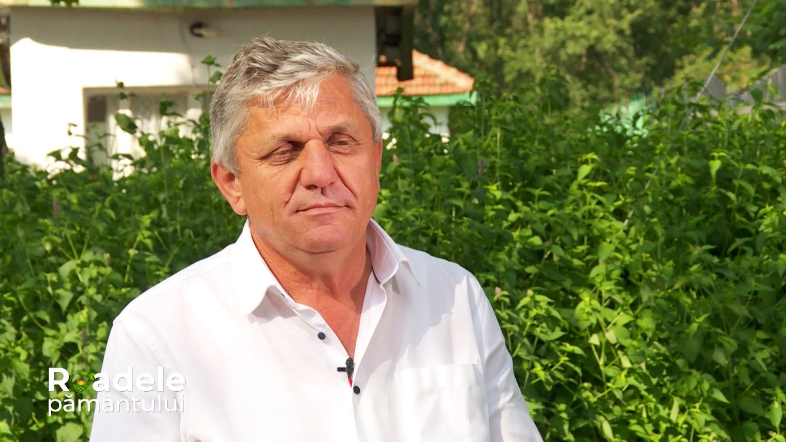 Roadele pământului Archives - TRINITAS TV