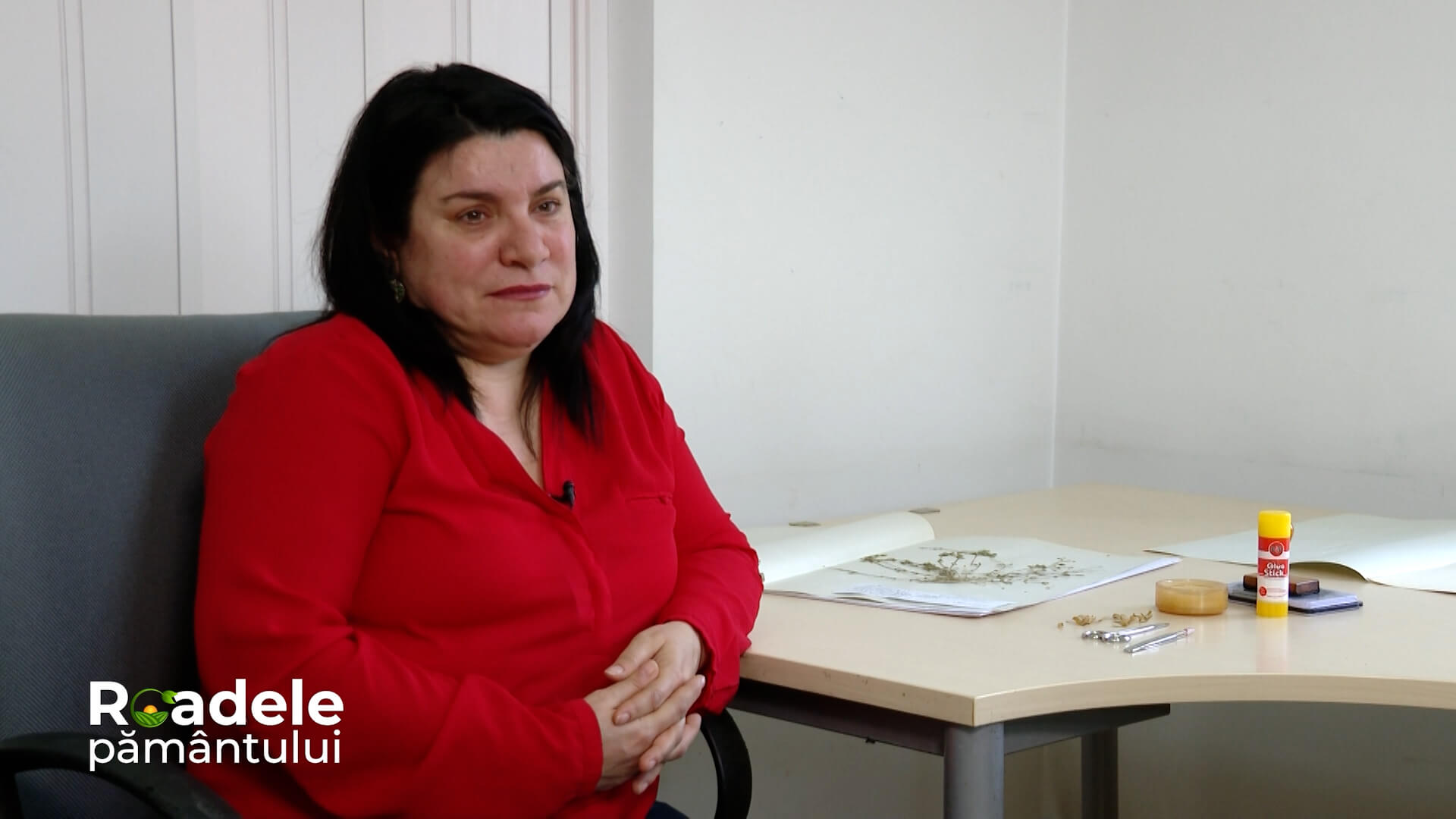 Roadele pământului Archives - TRINITAS TV