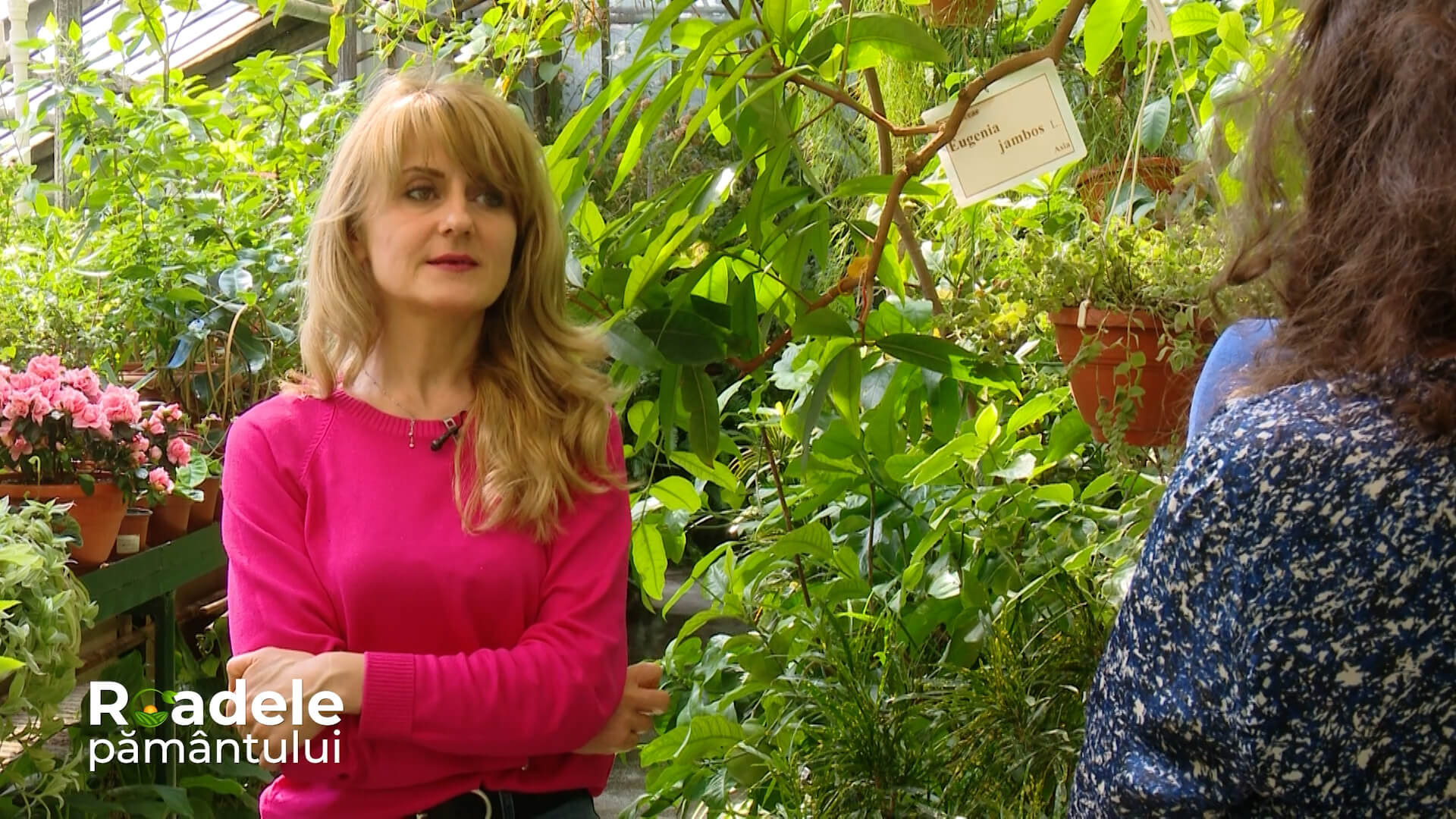 Roadele pământului Archives - TRINITAS TV