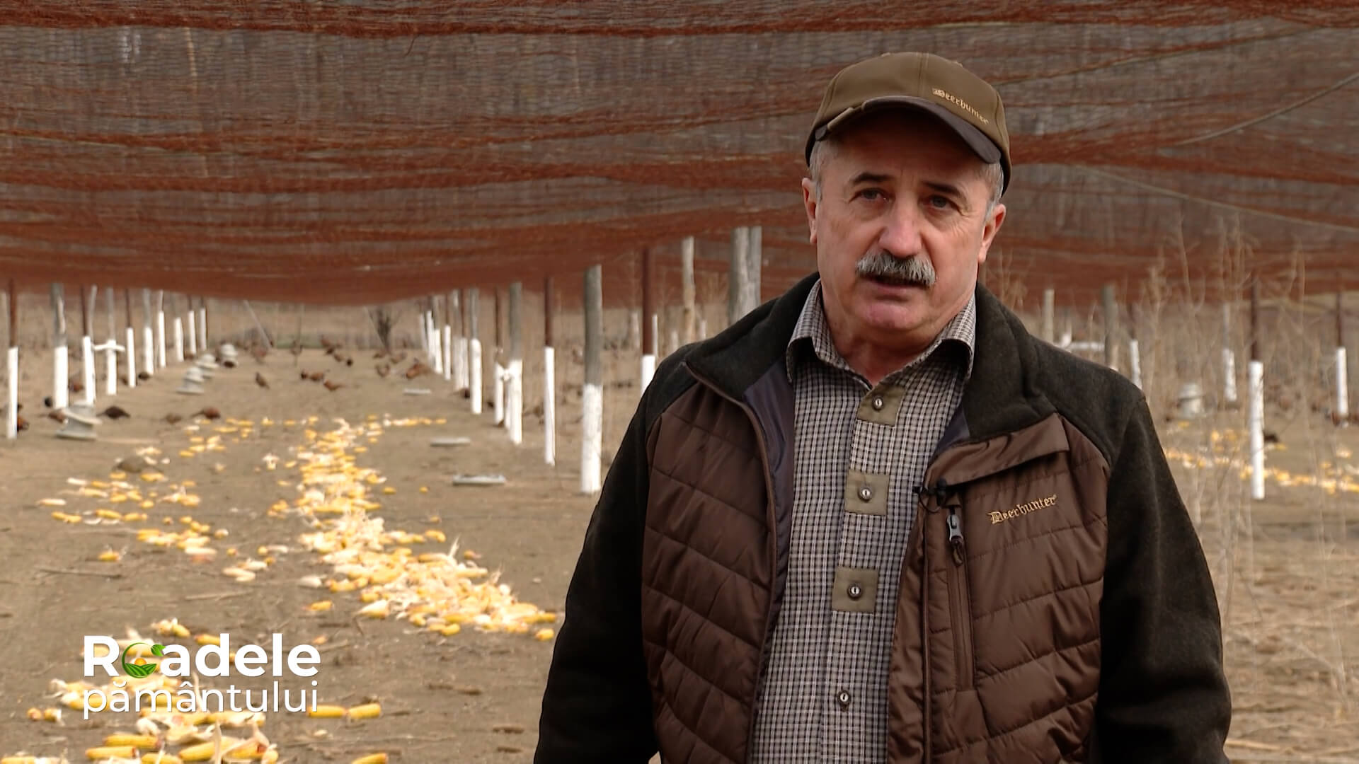 Roadele pământului Archives - TRINITAS TV