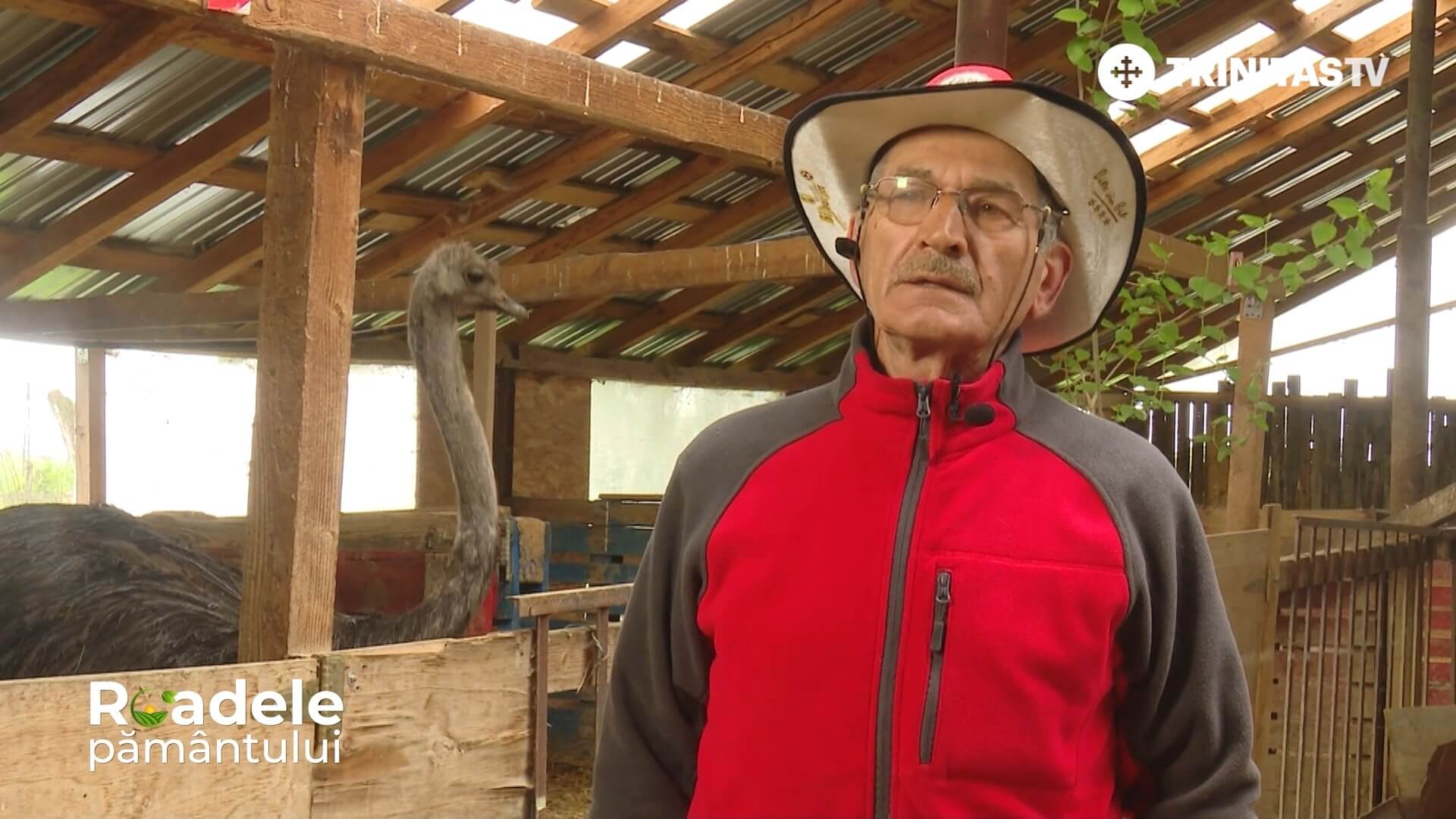 Roadele pământului Archives - TRINITAS TV