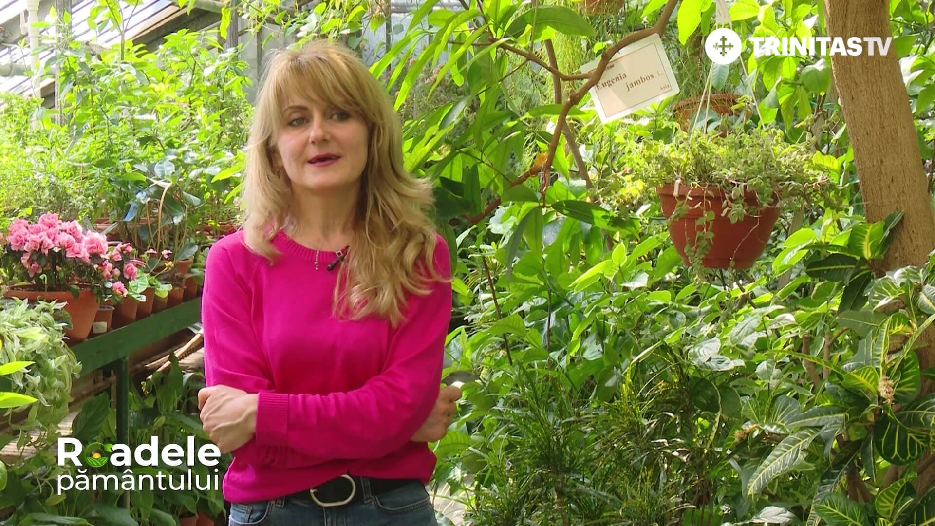 Roadele pământului Archives - TRINITAS TV