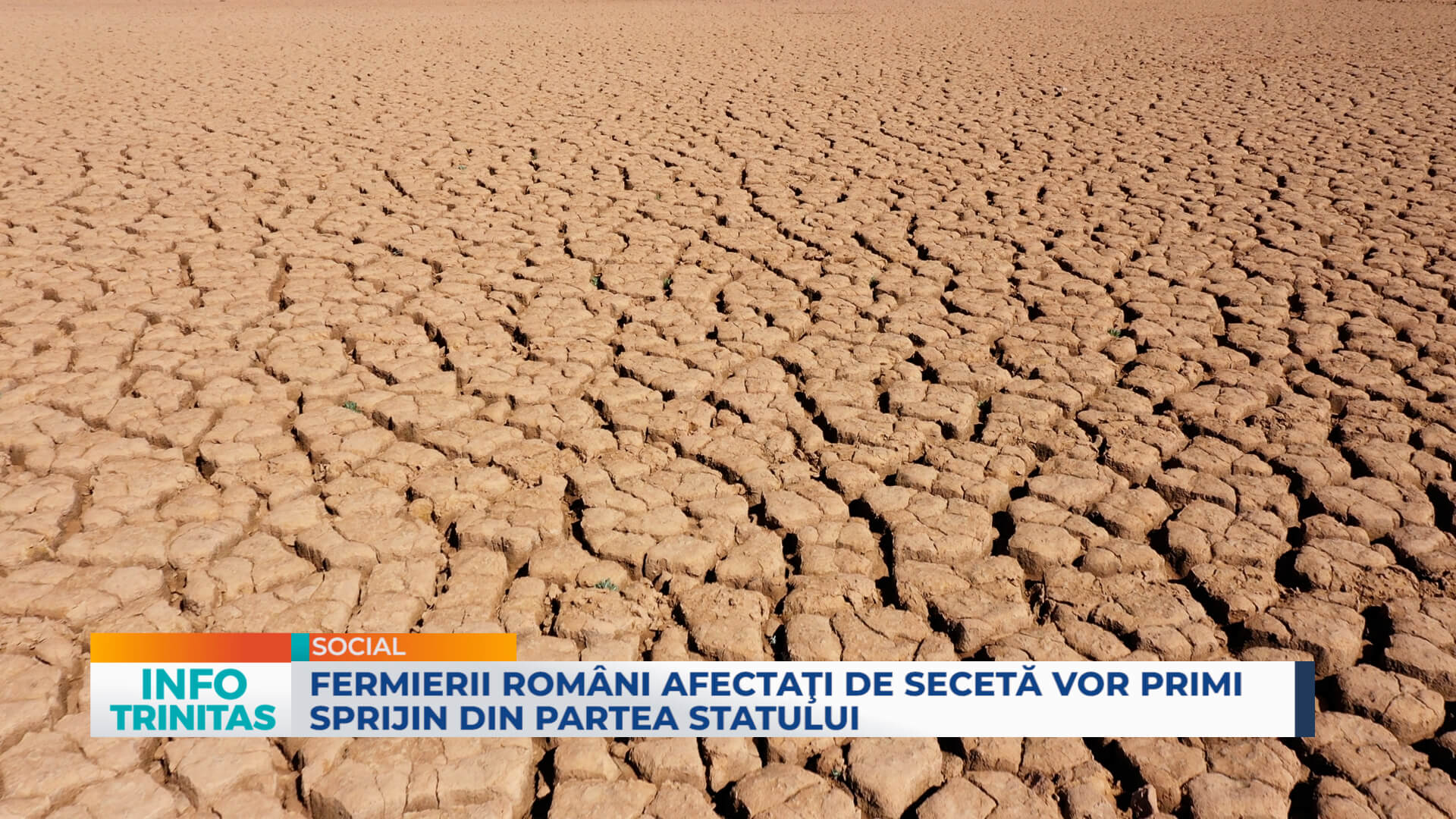 Fermierii români afectaţi de secetă vor primi sprijin din partea ...