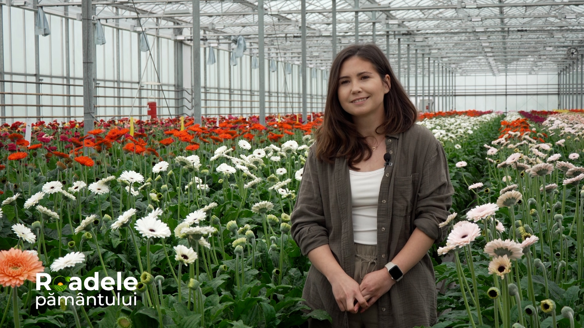 Florile românești; Plantele ornamentale; Energia regenerabilă; Mușchiul ...